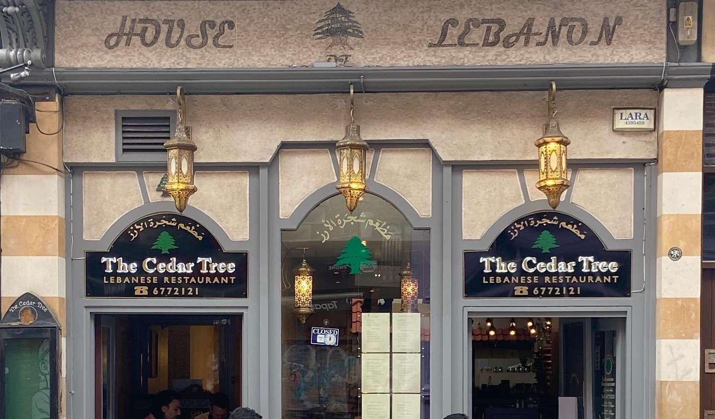 Cedar Tree - Dublin Town