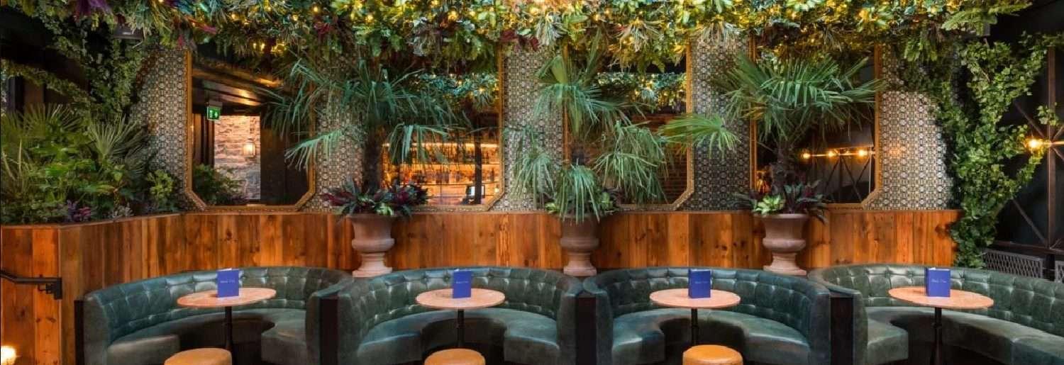 NoLIta Revamps their Menu with Newly Appointed Head Chef Rocco Cannella