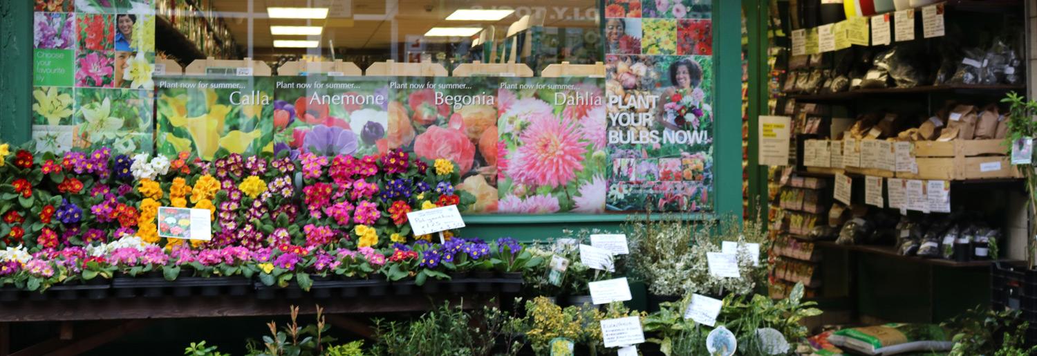 A visit to Mr Middleton Garden Shop - Dublin Town