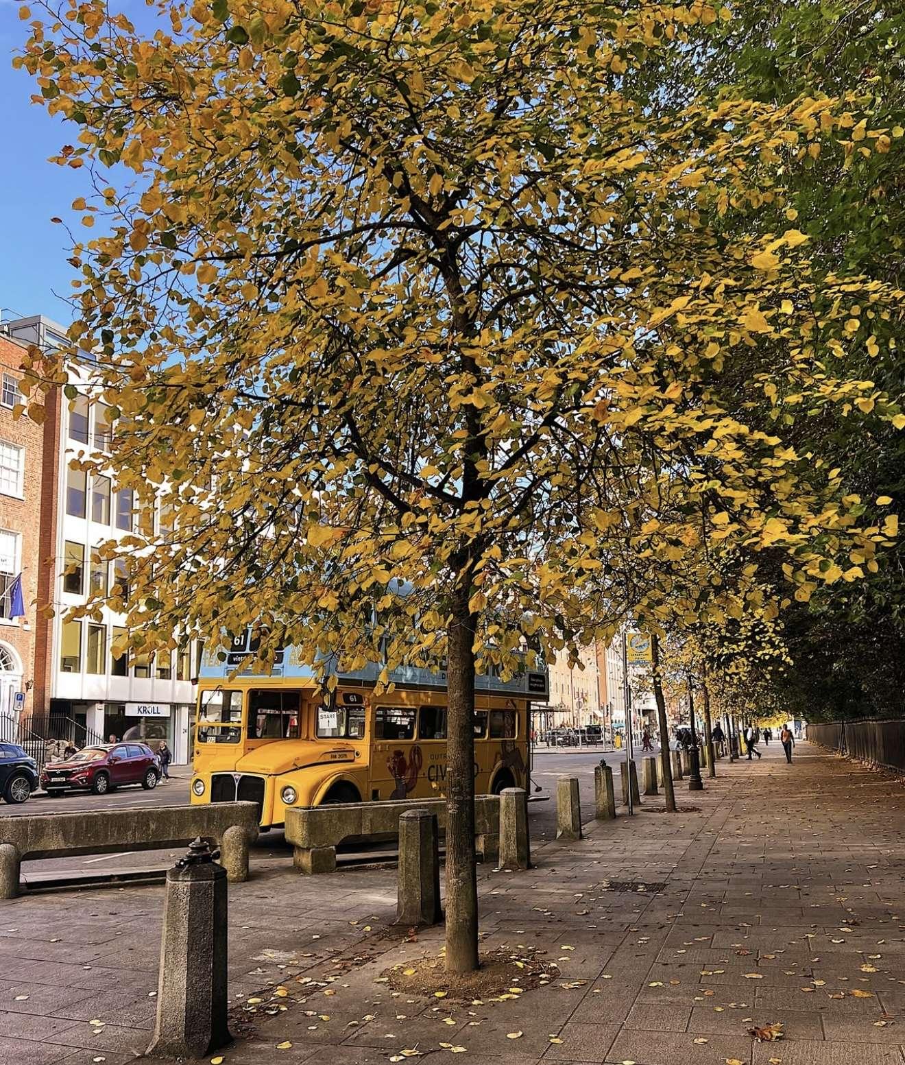 CEF - City Electrical Factors - Dublin Town